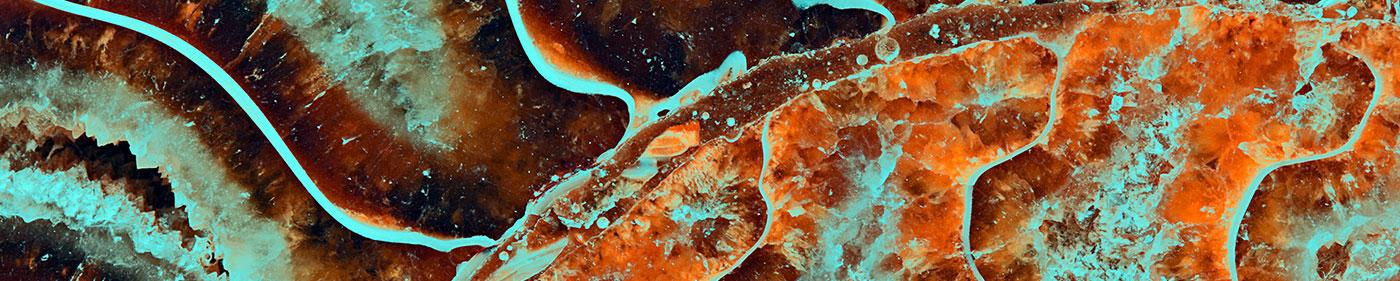 Research | Biological Sciences